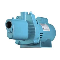 Little Giant® 1 HP Shallow Well Jet Pump at Menards®