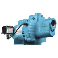 Little Giant® 1 HP Shallow Well Jet Pump at Menards®