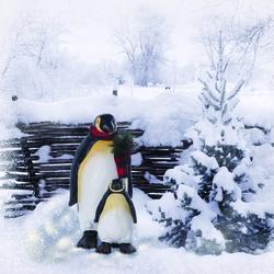 Enchanted Forest® 10" Penguin Pair at Menards®