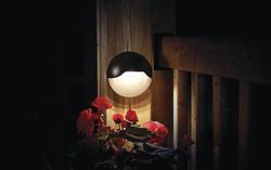 Patriot Lighting® Low Voltage Integrated LED Patti Landscape Light at ...