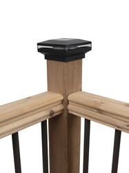 Patriot Lighting® Solar Integrated LED Lamar Post Cap Landscape Light ...