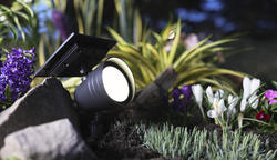Patriot Lighting® Solar Integrated LED Landscape Flood Light at Menards®