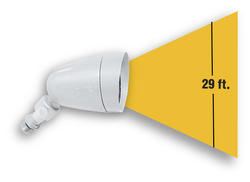 Sigma Engineered Solutions™ 1,000 Lumen White LED Swivel Flood Light at ...