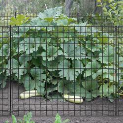 43" Mini Multi-Purpose Fence Post at Menards®