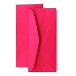 50 Pack Holiday Envelopes - Assorted Styles at Menards®