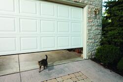 Genie® Replacement Safe-T-Beam® Garage Door Opener Reversing Safety ...