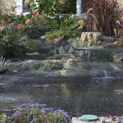 Atlantic®-OASE 20' x 30' Pond Netting at Menards®