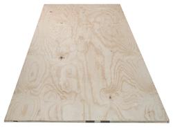3/8 x 4 x 8 Plywood Sheathing at Menards®