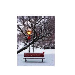 7.8" Canvas Signs - Assorted Styles at Menards®