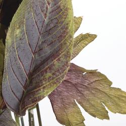 Pumpkin Hollow™ 21" Sunflower and Dahlia Fall Floral Arrangement at ...