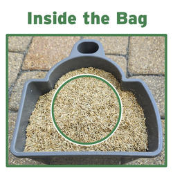 Nature's Finest™ Easy Green Mix Grass Seed - 5 lbs. at Menards®
