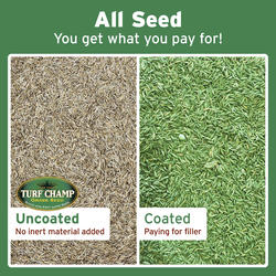 Nature's Finest™ Easy Green Mix Grass Seed - 5 lbs. at Menards®