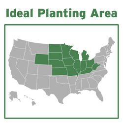 Nature's Finest™ Thick 'N Hardy Mix Grass Seed - 5 lbs. at Menards®