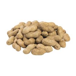Enchanted Garden™ In-Shell Peanuts Premium Wild Bird Food - 4 lb at ...