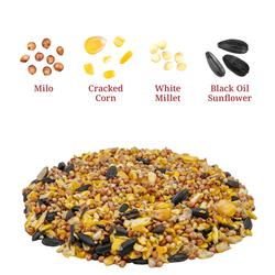 Enchanted Garden™ Country Deluxe Premium Wild Bird Food Seed Blend - 10 ...