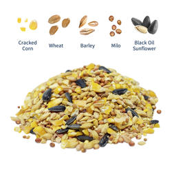 Hungry Hens™ 5-Grain Chicken Scratch - 40 lb at Menards®