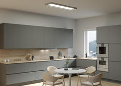 Good Earth Lighting 4000 Lumen 48" LED Flat Panel Light at Menards®