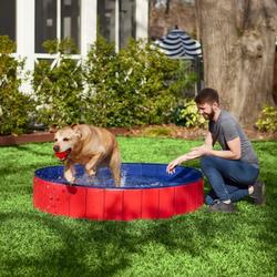 2XL Outdoor Dog Swimming Pool - Blue/Red at Menards®