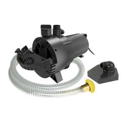Barracuda 1/4 HP 2-in-1 Utility/Transfer Pump at Menards®