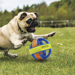 Nerf Dog™ 5" Giggle Ball Dog Toy at Menards®