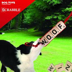 Hasbro® 12" Scrabble Plush Dog Toy at Menards®