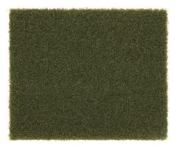 GrassTex Money Putt Indoor/Outdoor Turf 15 ft. Wide at Menards®