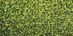 GrassTex Bermuda PE Colors Spring Green Indoor/Outdoor Turf 15 ft. Wide ...