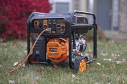 WEN® 6,500 Running 8,000 Starting-Watt Gasoline Portable Generator at ...