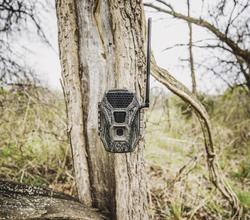 Wildgame Innovations™ Terra Cell 16 MP Trail Camera at Menards®