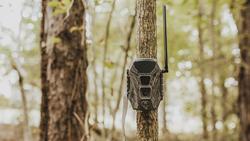 Wildgame Innovations™ Terra Cell 16 MP Trail Camera at Menards®