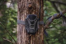 Wildgame Innovations™ Terra Cell 16 MP Trail Camera at Menards®