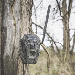 Wildgame Terra Cell Camera - Verizon at Menards®