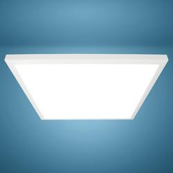 Patriot Lighting® 4200 Lumen 23" LED Flat Panel Light at Menards®