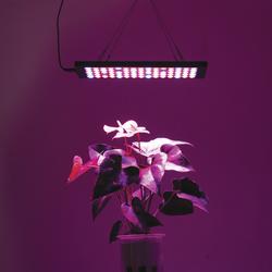 Master Garden™ 40W Replacement 13" LED Grow Light, Wide Spectrum Grow ...
