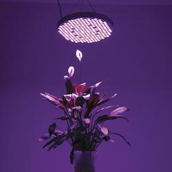 Master Garden™ 50W Replacement 13" LED Grow Light, Wide Spectrum Grow ...