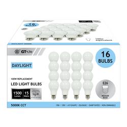 GT-Lite® 100 Watt Equivalent Frosted A19 E26 Daylight LED Light Bulb ...