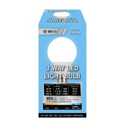 GT-Lite® 30/70/100 Watt Equivalent A19 E26 Daylight LED Light Bulb at ...