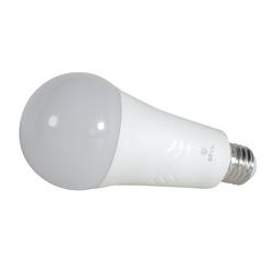 GT-Lite® 50/200/250 Watt Equivalent A21 E26 Bright White LED Light Bulb ...