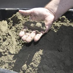 TEC® Gray Floor Mud Mortar 050 - 50 lb at Menards®