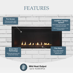 Majestic DVLinear 36" Direct Vent Gas Fireplace at Menards®