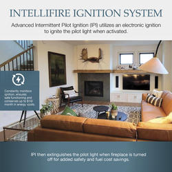 Majestic Mercury 32" Direct Vent Gas Fireplace at Menards®