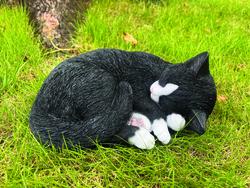 10-1/2" Resin Sleeping Tuxedo Cat Garden Statue at Menards®