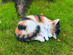 10-1/2" Resin Sleeping Calico Cat Garden Statue at Menards®