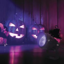 Pumpkin Hollow™ LED Black Light Outdoor Halloween Spotlight at Menards®