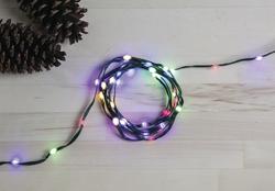 Enchanted Forest® 150-Light Multicolor Premium Christmas Ribbon Light ...