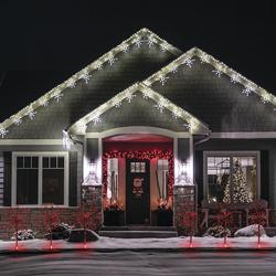 Enchanted Forest® 16" Red Radiant Blast Christmas Light at Menards®