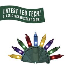 Enchanted Forest® LED Vintage 50-Light Multicolor Mini Christmas String ...