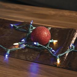 Enchanted Forest® LED Vintage 100-Blue & White Mini Christmas String ...