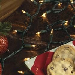 Enchanted Forest® LED Vintage 105-Light Warm White Multifunction Mini ...