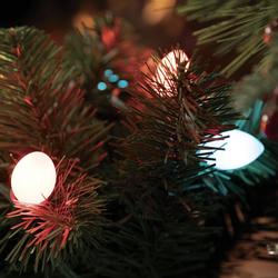 Enchanted Forest® LED Vintage 25-Light C7 Multicolor Christmas String ...